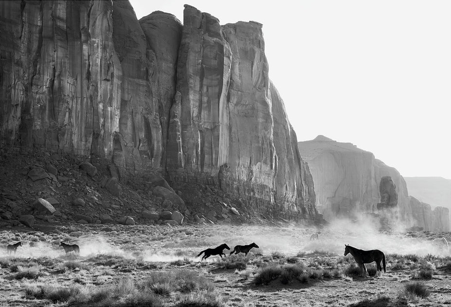 Meet the new artist - Astrid Harrisson (UK) – KaterinaMorgan.art