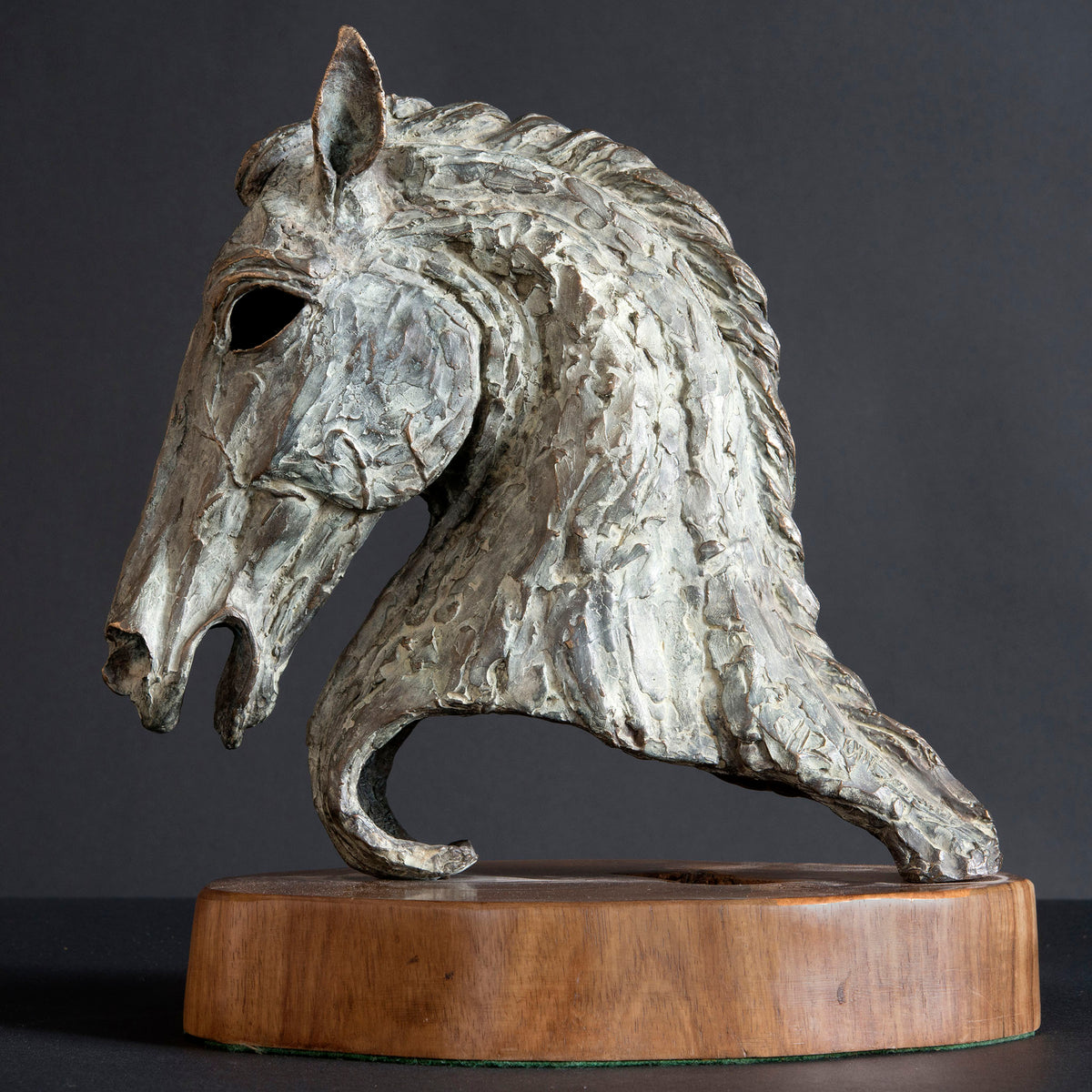 "Stallion II" bronze sculpture by Jan Sweeney | Horse polo art gallery ...